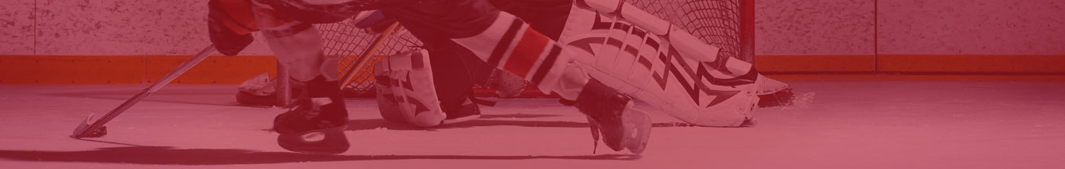 Commandite - Sports aux puces Terrebonne